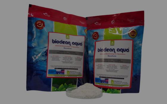 Advanced microbial solutions for aquaculture management - Microbioz India