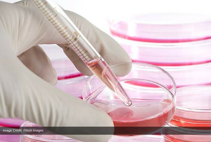 Reprogramming Skin Cells Of Diabetic Foot Ulcer Patients: Potential ...