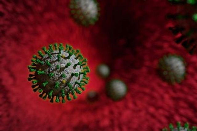 Conducting Research on Highly Pathogenic Viruses Using Virus ...