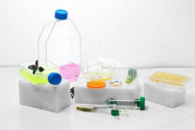 Identifying contaminants in a cell culture lab