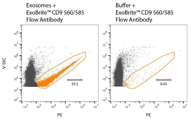 Biotium Introduces New Line of Antibodies for Exosome Detection