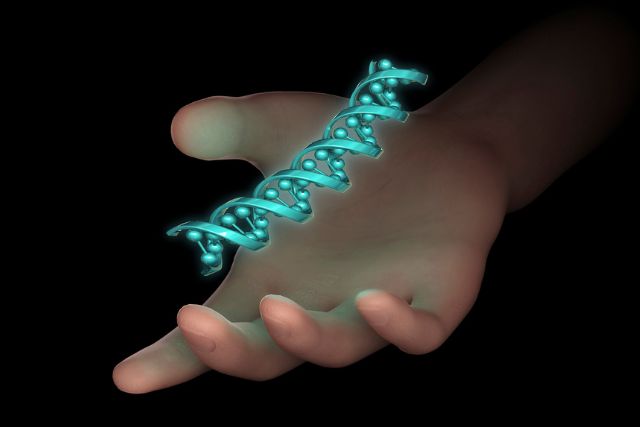 LifeCell and HaystackAnalytics enter into a strategic collaboration to ...