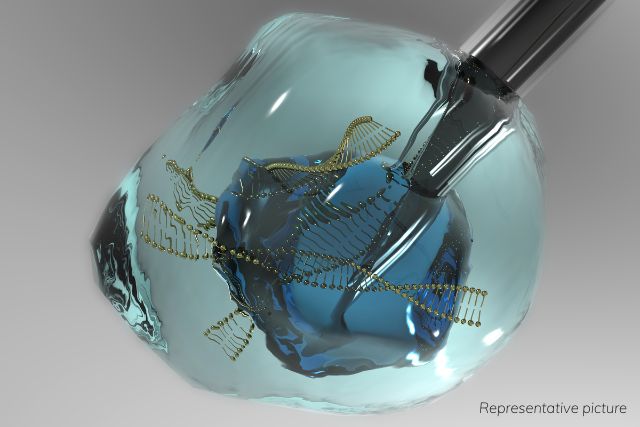 Pluripotent Stem Cell Culture Media: All you need to know