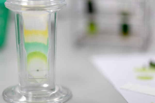 Everything You Need to Know About Calibration Curves