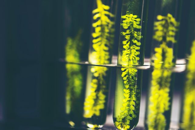 Green laboratory: Sustainable Pharma and Research Labs