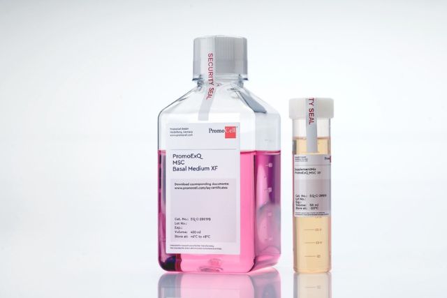 PromoCell Launches PromoExQ MSC Growth Medium XF for GMP Compliant Long ...