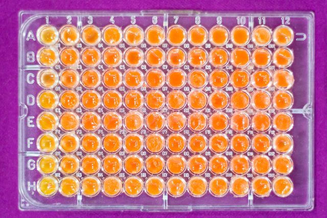 Understanding the Benefits of Using Well Plates in High-Throughput ...