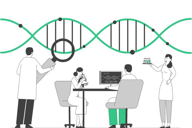 How Genotype Influences Your Traits and Health