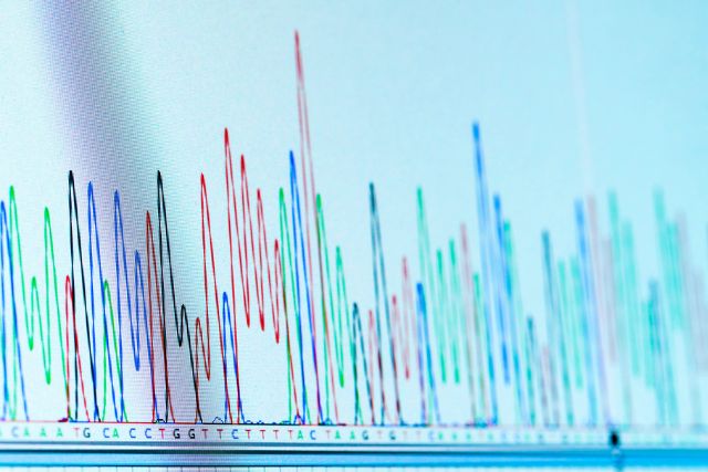 5 Common Mistakes to Avoid in Chromatography Experiments