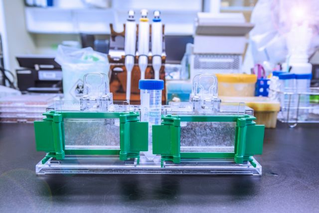 Improving Protein Analysis via Size Exclusion Chromatography