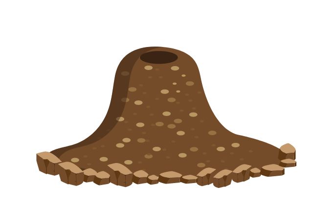 The Ultimate Guide to Bullet Ants: Facts, Behavior, and Sting