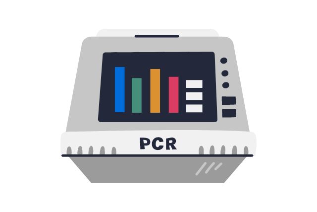 Demystifying PCR: How Does it Work?