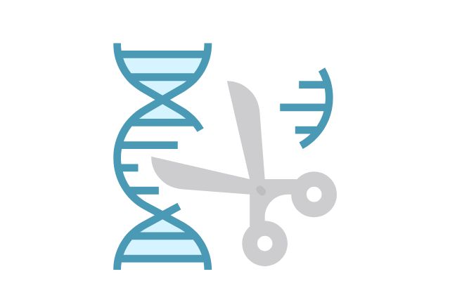 What Is the Tub8 Gene and Why Is It Important?