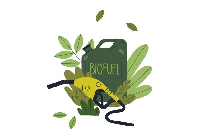 Biofuels vs. Fossil Fuels: What You Should Know