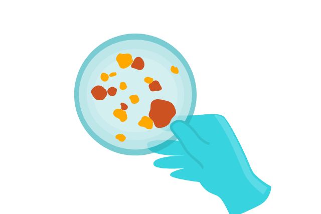 How to Choose the Right DMEM for Your Cells