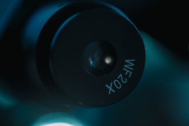 How Does SEM/EDS Actually Work? We Explain - Microbioz India