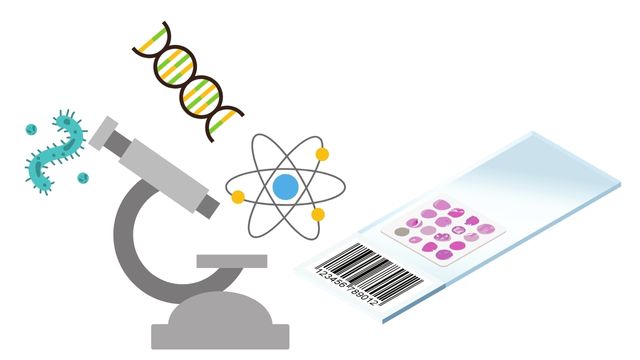 Microscope Labeled: A Closer Look at Learning Tools