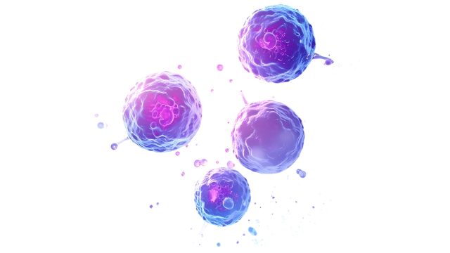 Biopharma Analytical Methods: The Backbone of Modern Biologics